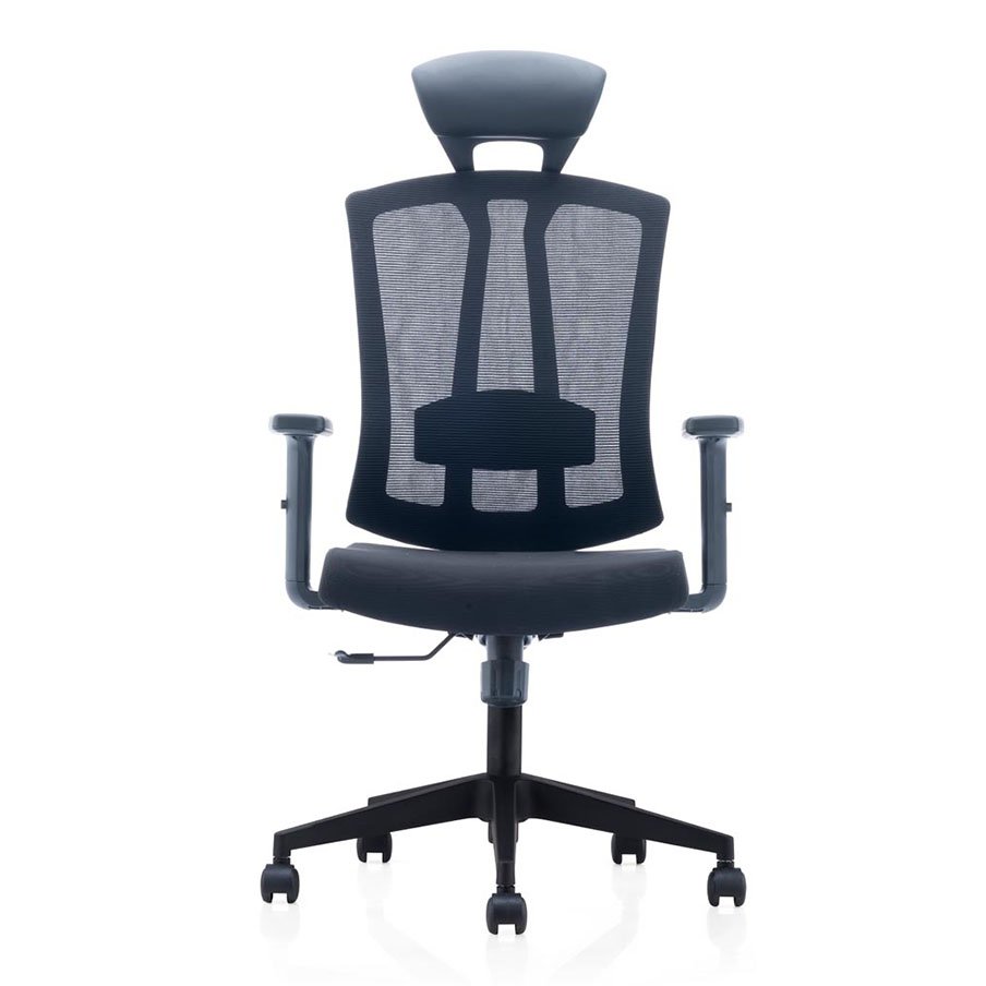 Macro Chrome Base Ergonomic Chair With Fixed Headrest
